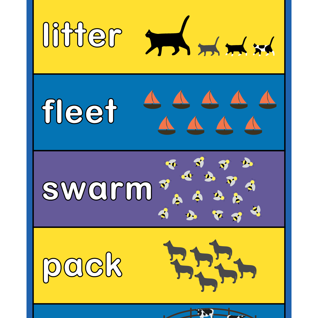Collective Nouns Hop - Math & Movement